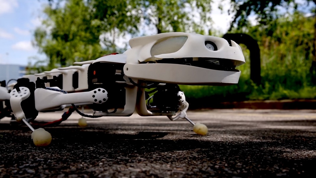 Ce robot salamandre permet de mieux comprendre l'évolution des espèces ...