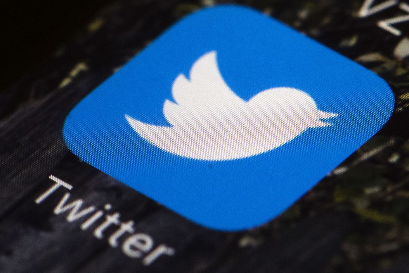 Twitter corrige un bug qui a envoyé des notifications mystérieuses à de ...