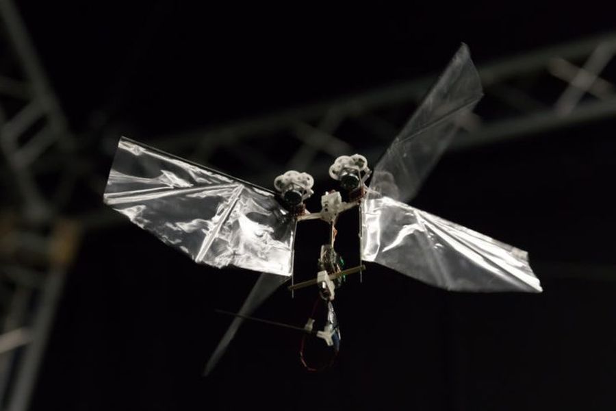 DelFly Nimble : le robot qui vole comme un insecte - KultureGeek