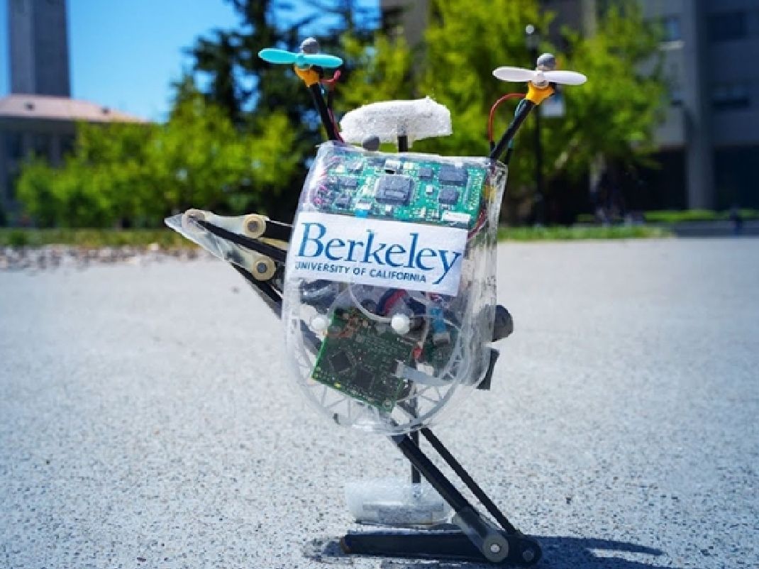 Salto : plus autonome, plus intelligent, le robot-pogo a beaucoup ...