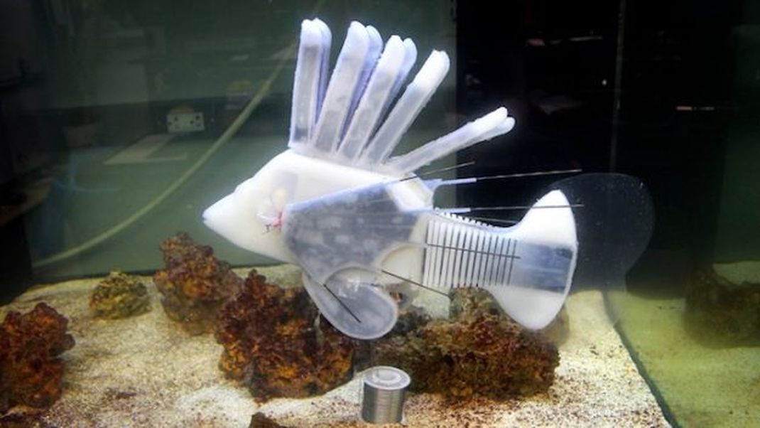 Ce poisson-robot fonctionne grâce à un système "sanguin" artificiel ...