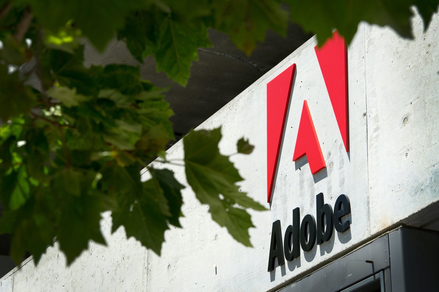 Adobe affiche des résultats records en 2019 avec 11 milliards de ...