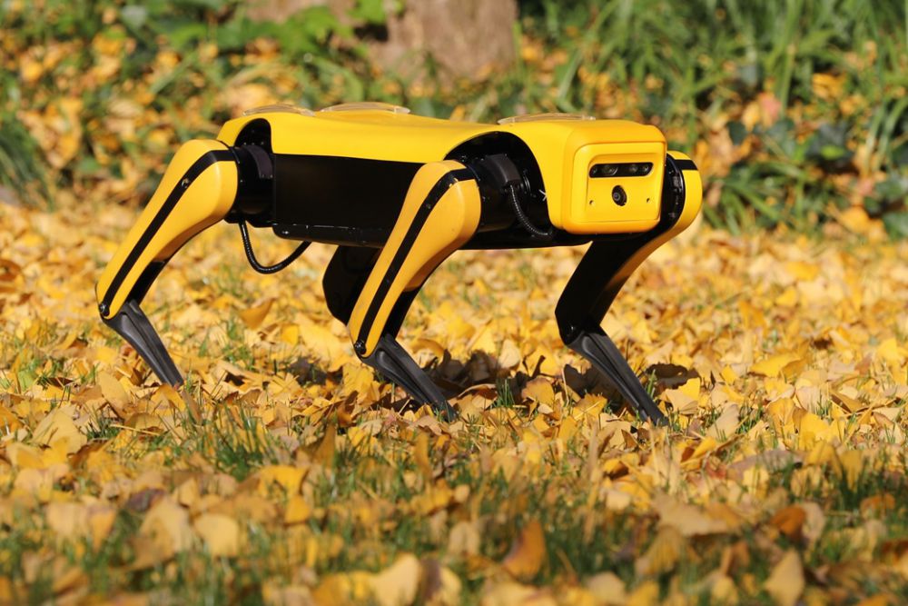 Jueying Mini Lite : Le robot-chien chinois que l’on confondrait presque ...