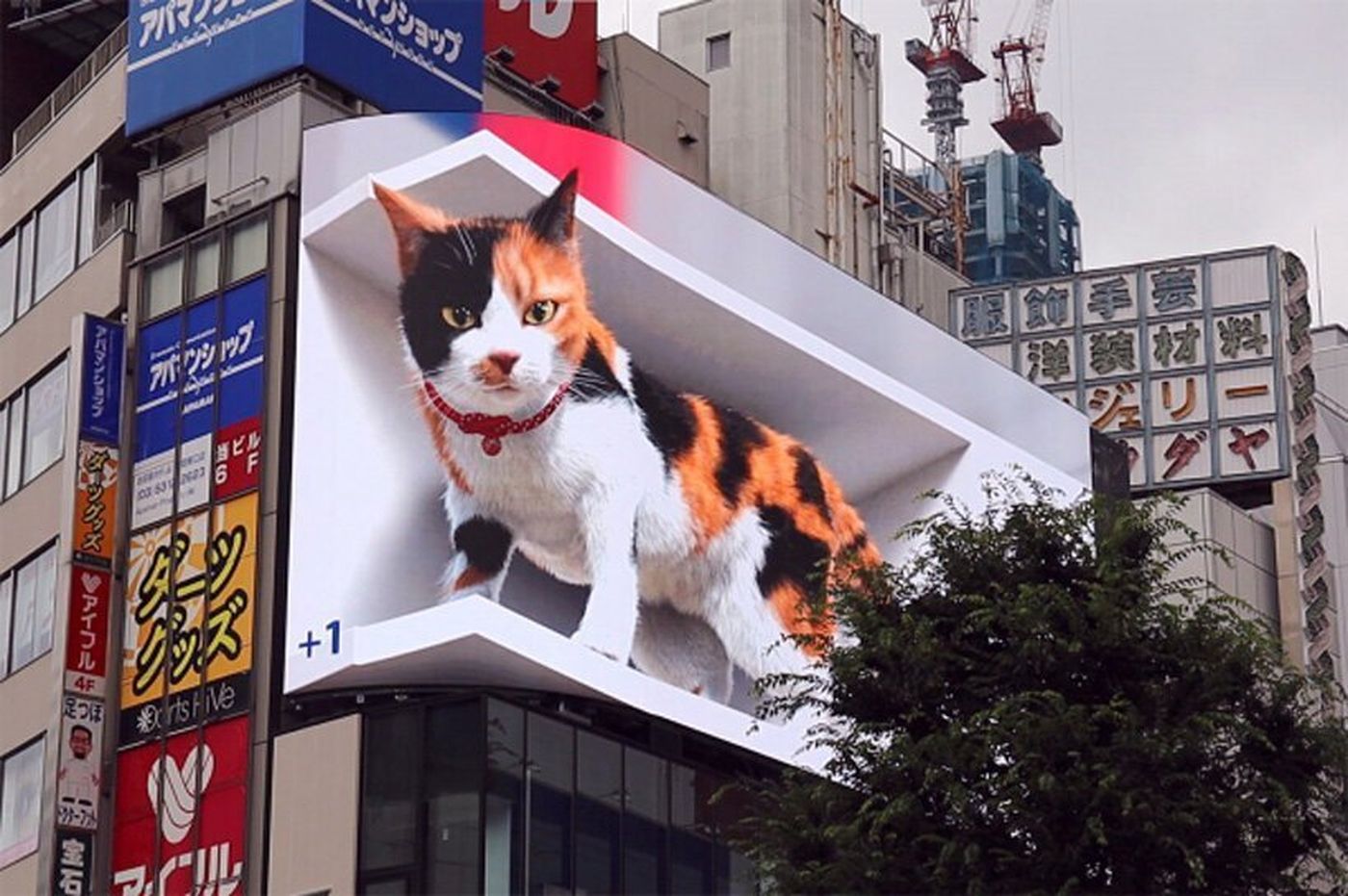 Un chat géant numérique devient l'attraction de Shinjuku (Tokyo ...