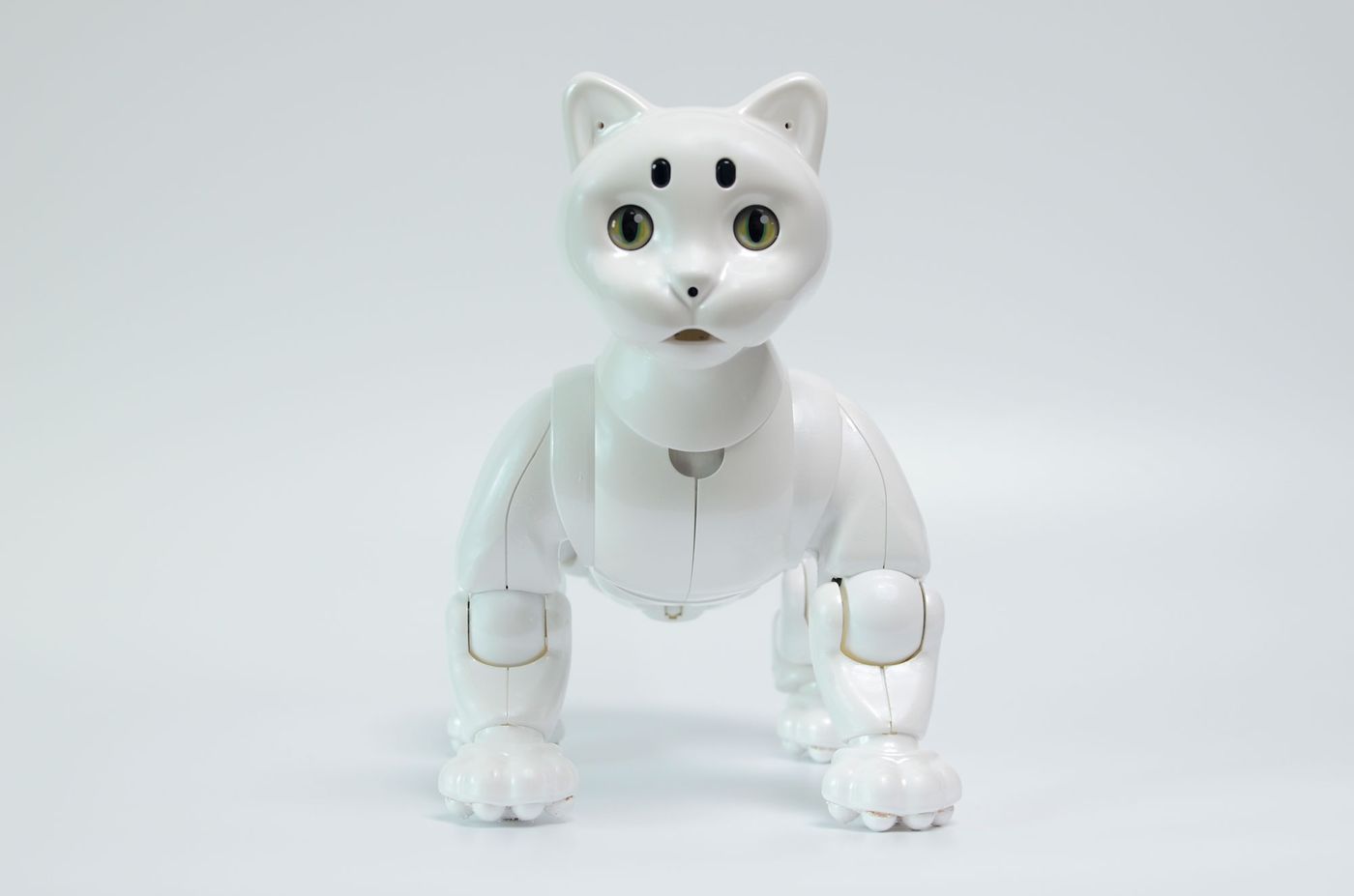 Maicat, le robot-chat qui donne plutôt envie d'avoir un vrai chat ...