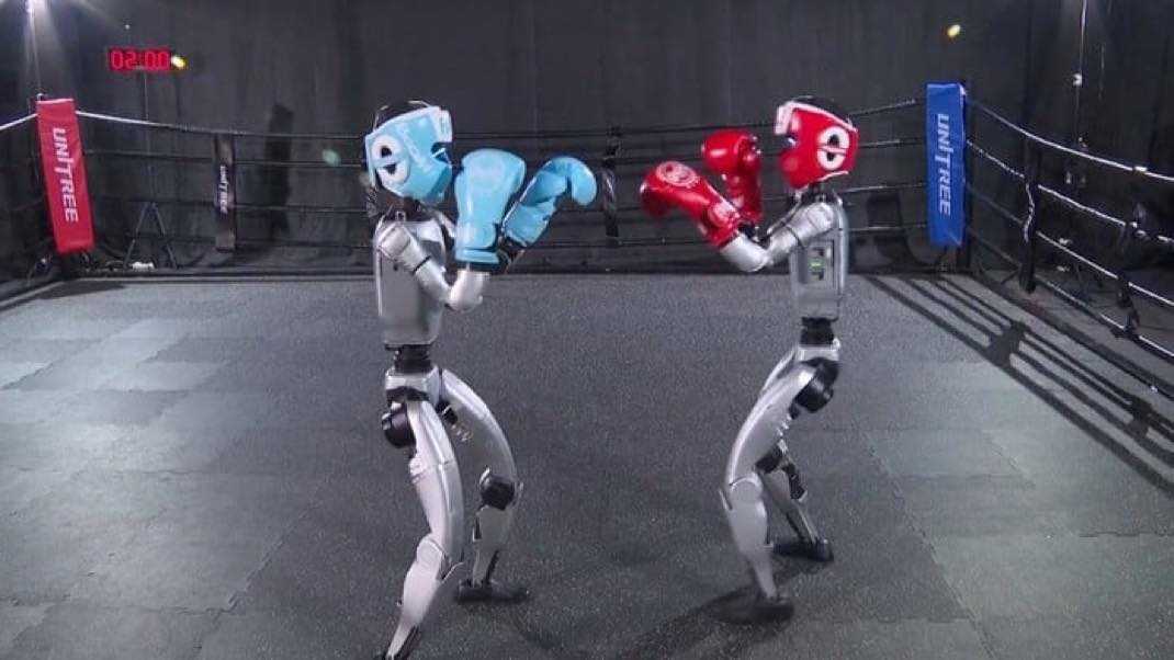 Rigolo et impressionnant à la fois : des robots Unitree s'affrontent ...