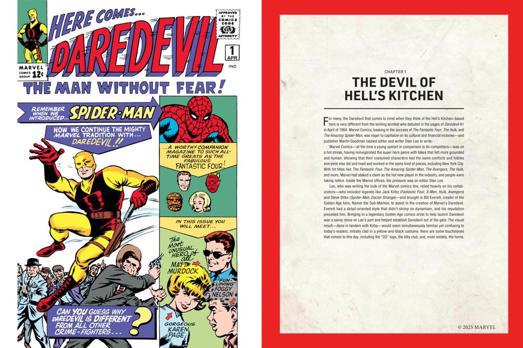 Daredevil : un livre hommage célèbre plus de 60 ans d’histoire du super ...